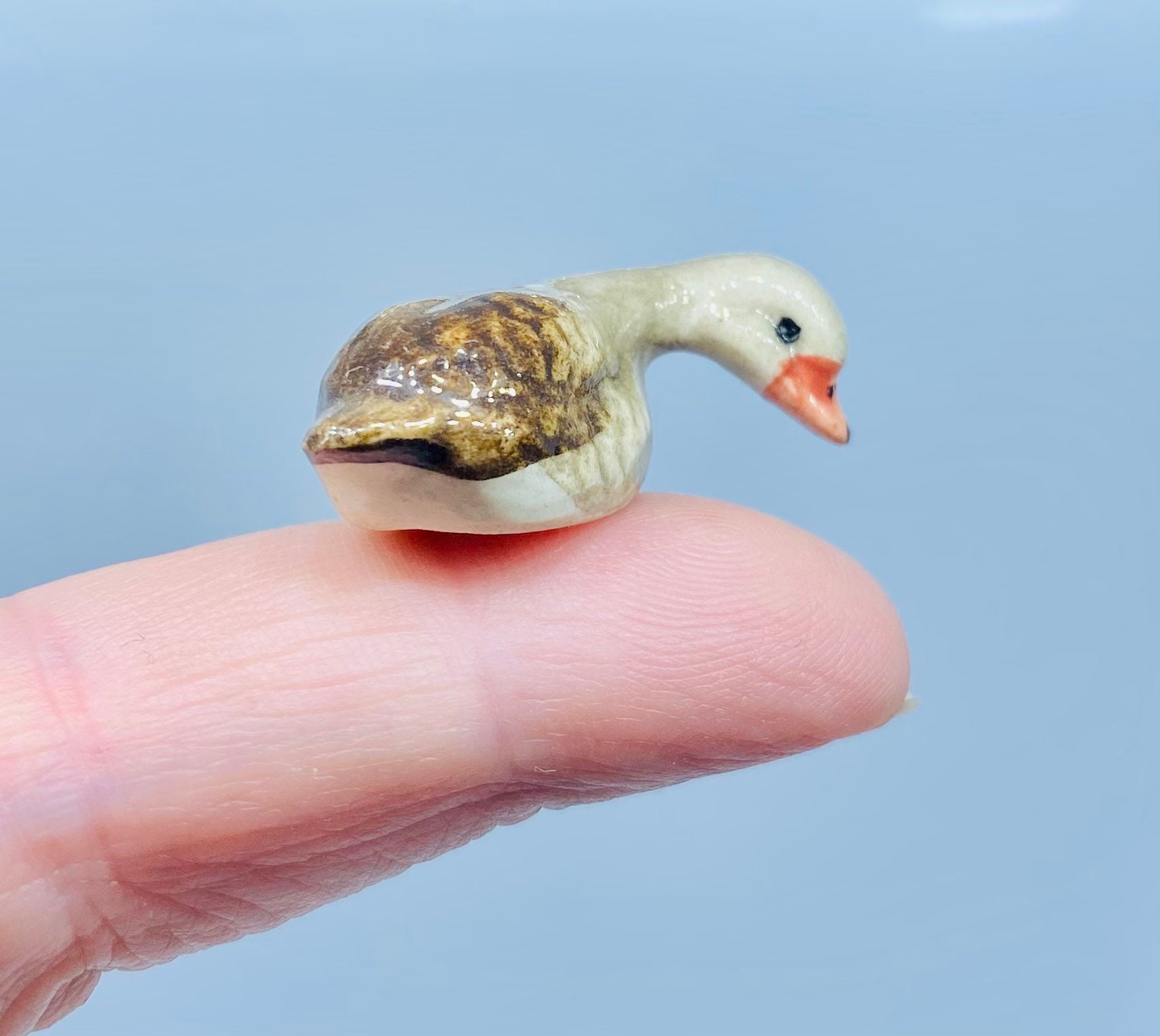 Smallest Duck In The World