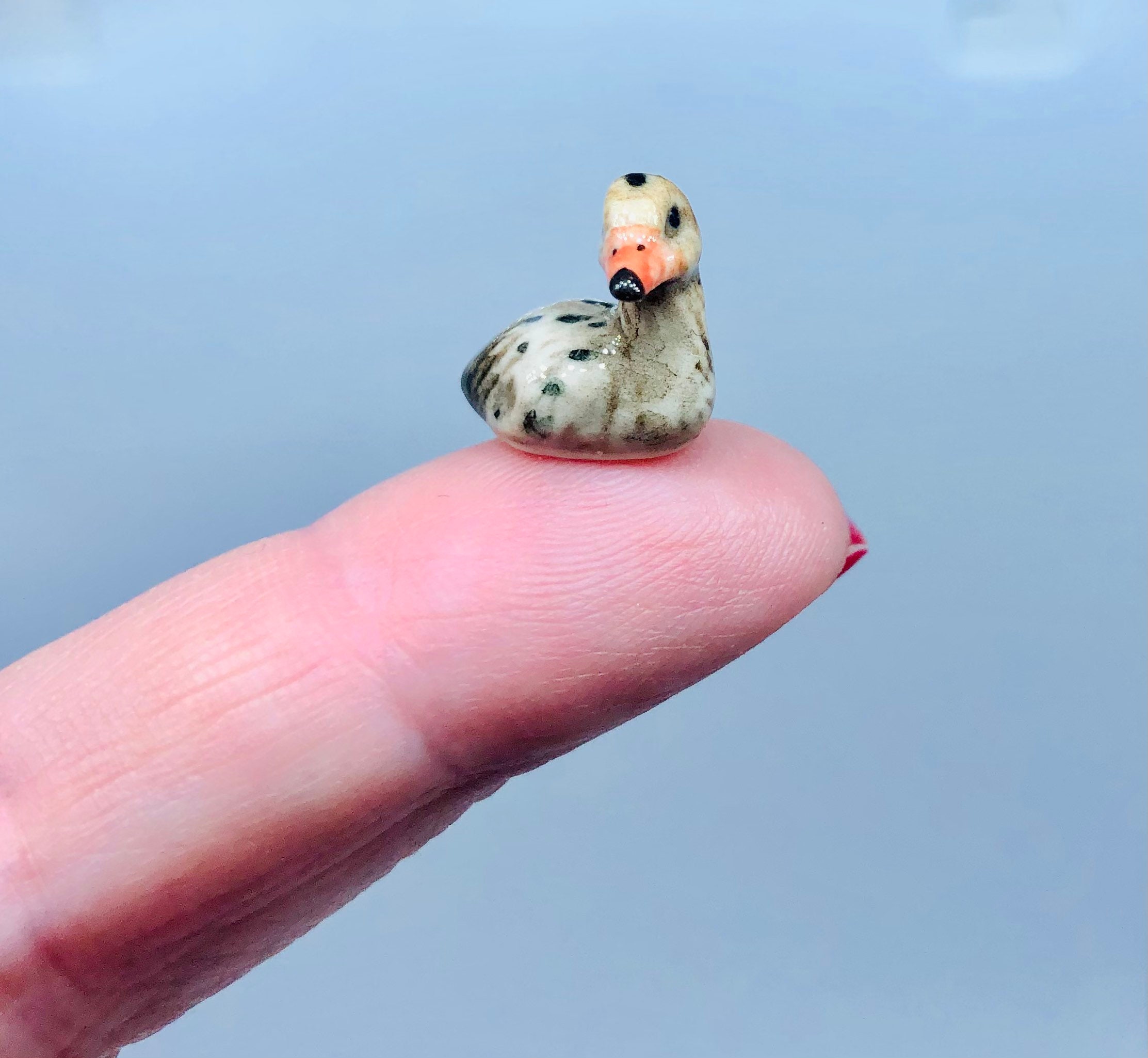 Smallest Duck In The World