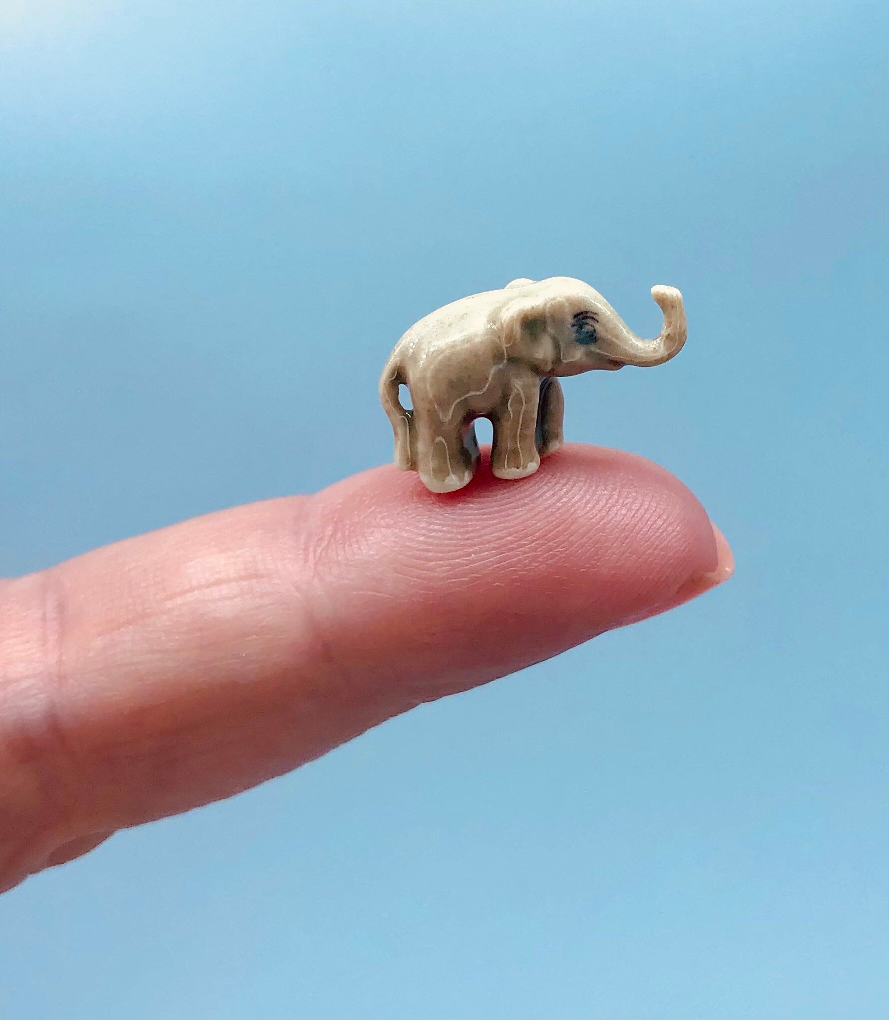 The Smallest Elephant In The World