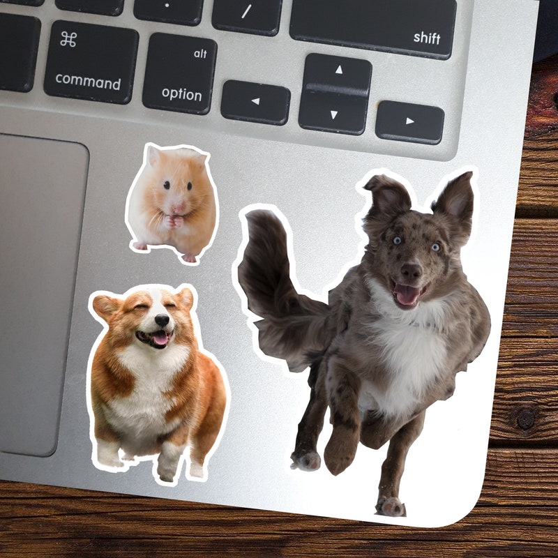 Custom Pet Stickers - Etsy