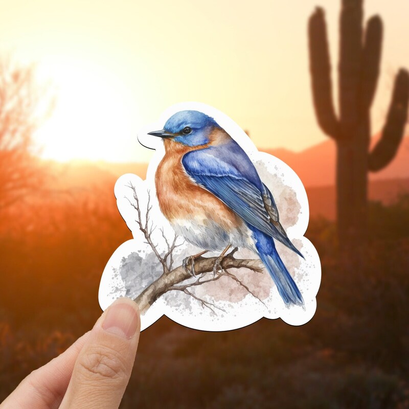 Bluebird Stickers - Etsy