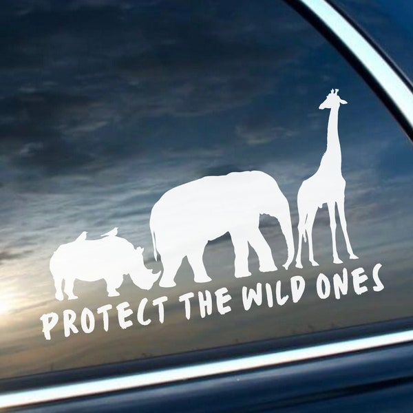 Cute Wildlife - Etsy