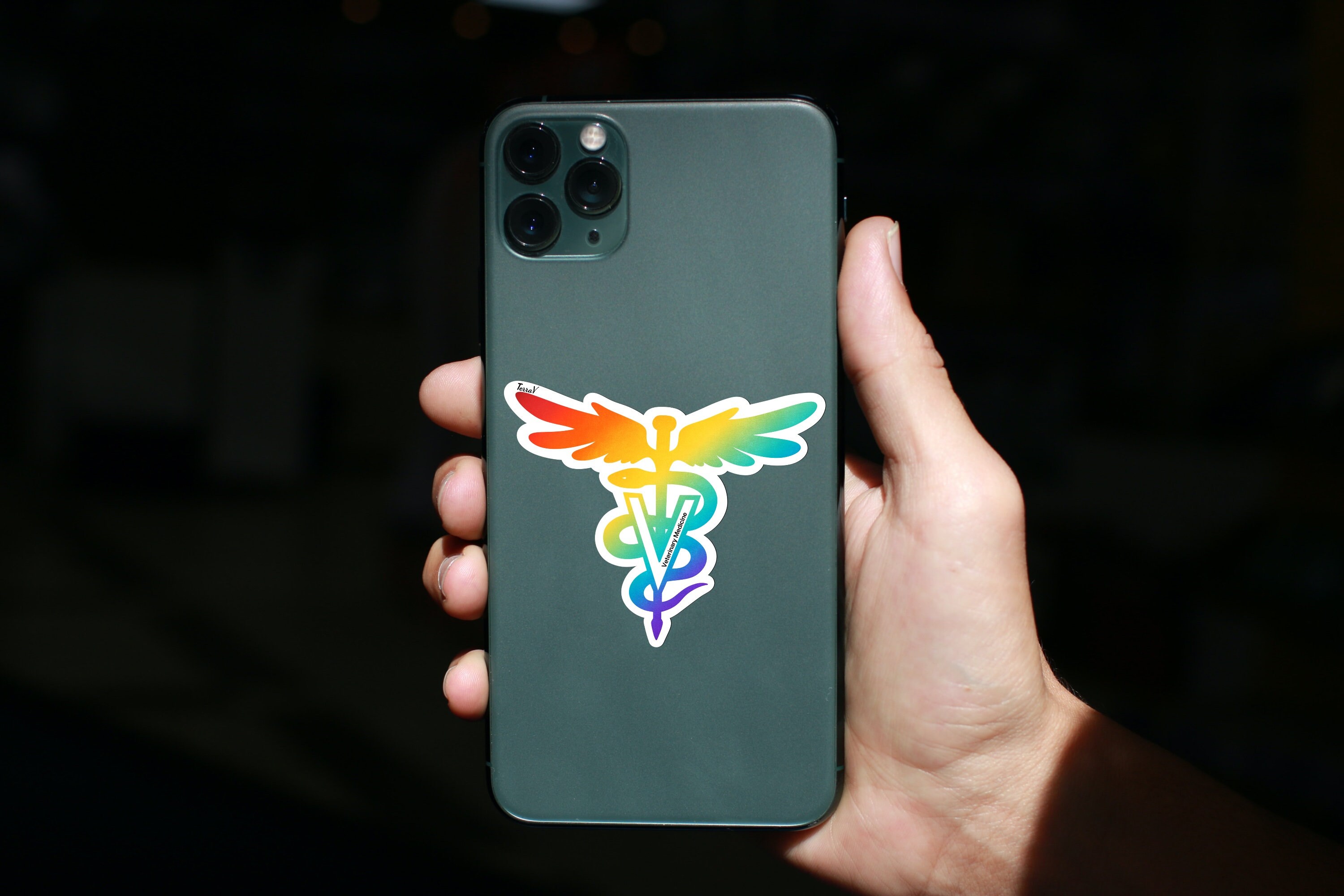 Rainbow Vetmed Sticker, Pride Veterinary Caduceus, Vet Tech Week, Vet ...