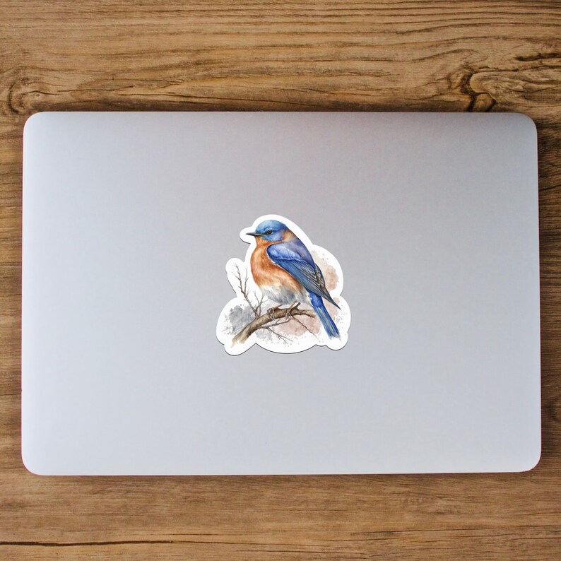 Watercolor Eastern Bluebird Sticker Cute Bird Stickers - Etsy