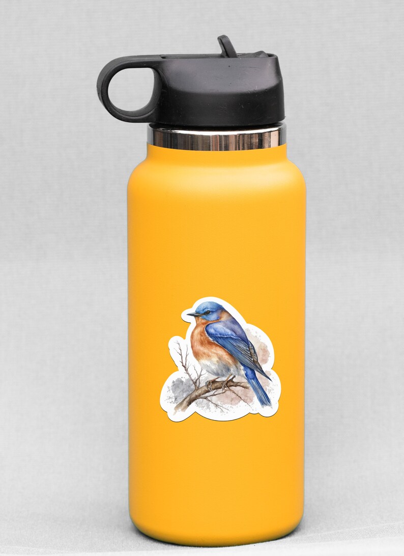 Watercolor Eastern Bluebird Sticker Cute Bird Stickers - Etsy