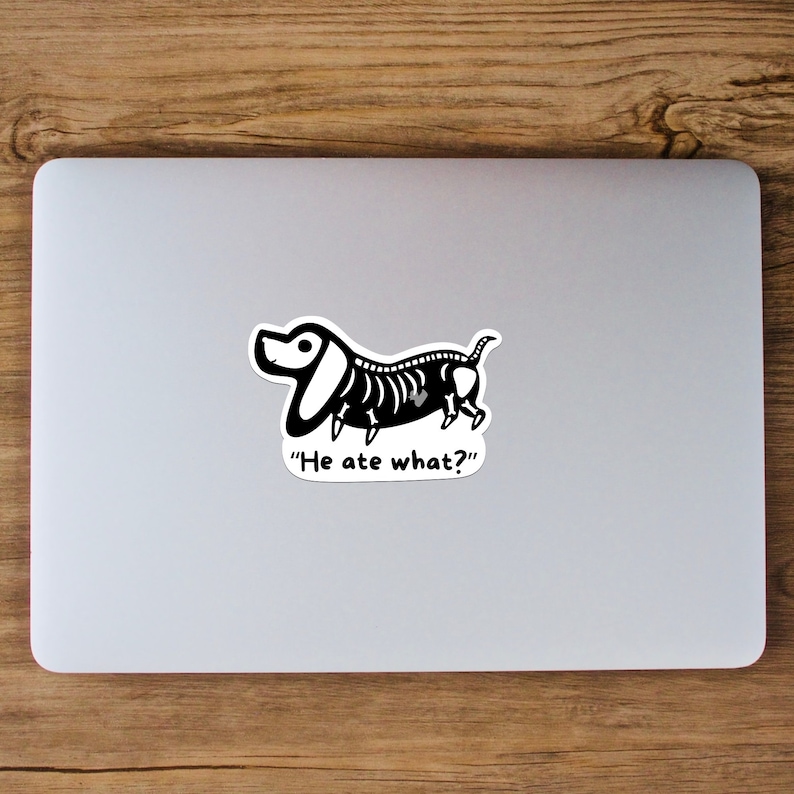 He Ate What, Funny Veterinary Sticker, Dog X-ray Vet Humor, Gifts for ...