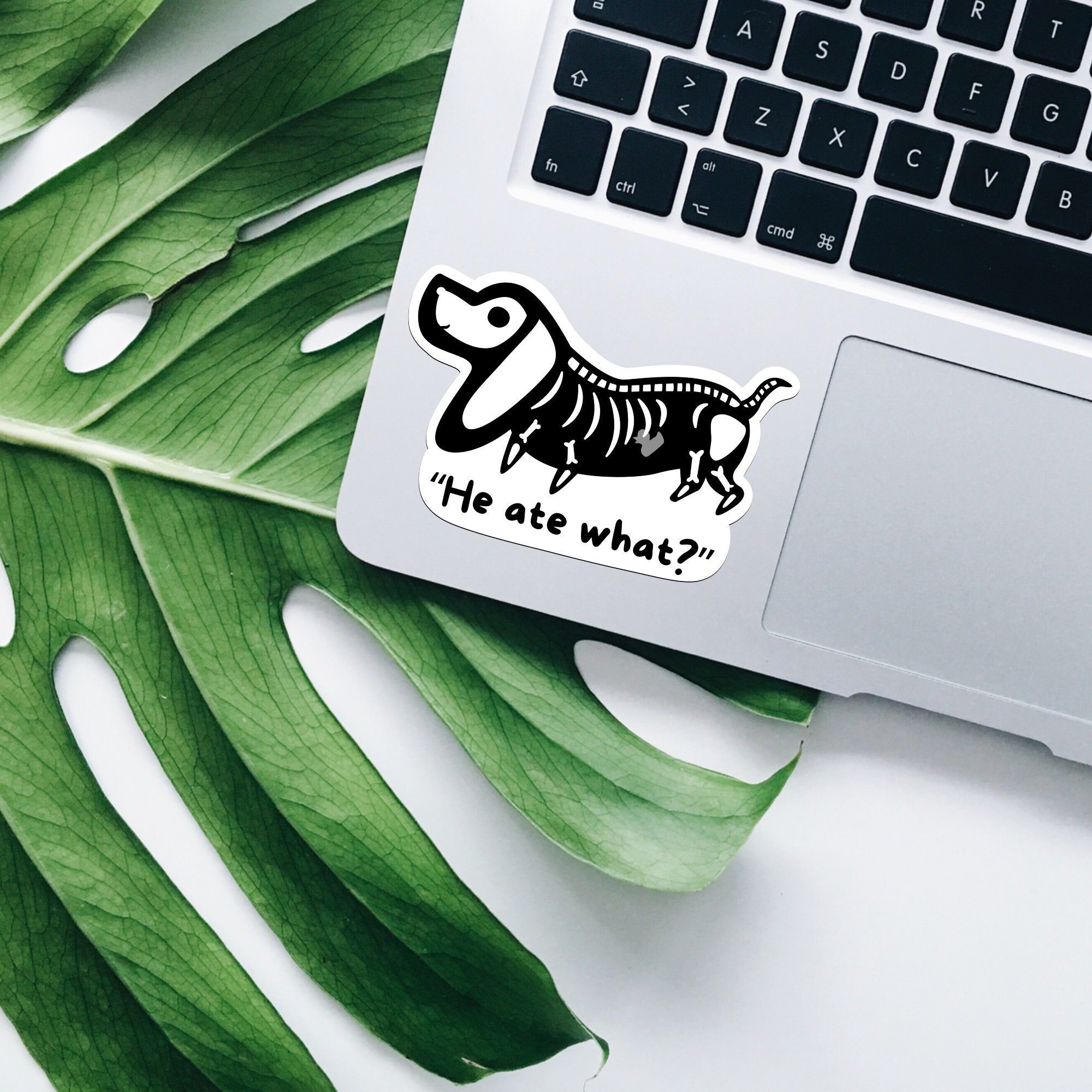 He Ate What, Funny Veterinary Sticker, Dog X-ray Vet Humor, Gifts for ...