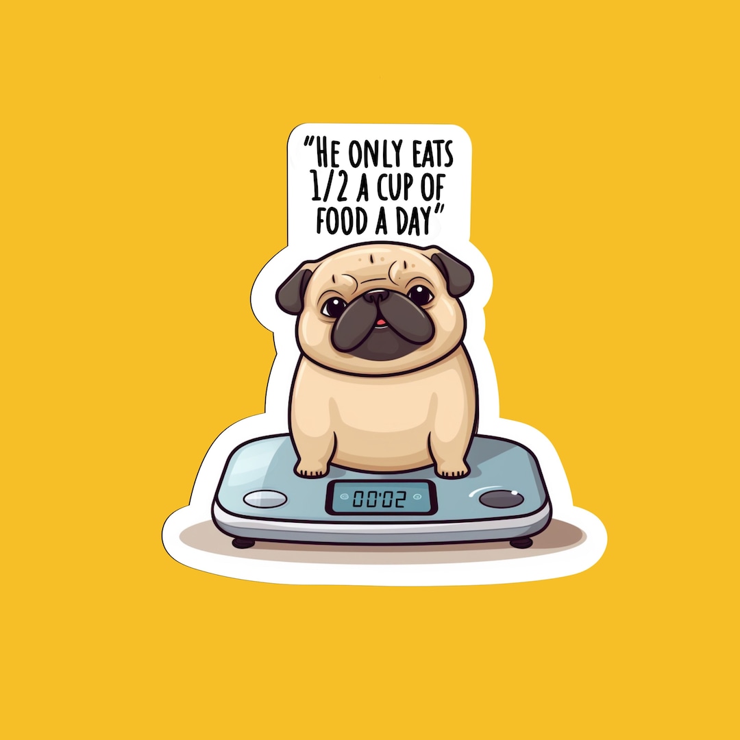 Vet Tech Stickers, Funny Vet Humor, Veterinary Stickers, Vet Tech Week ...