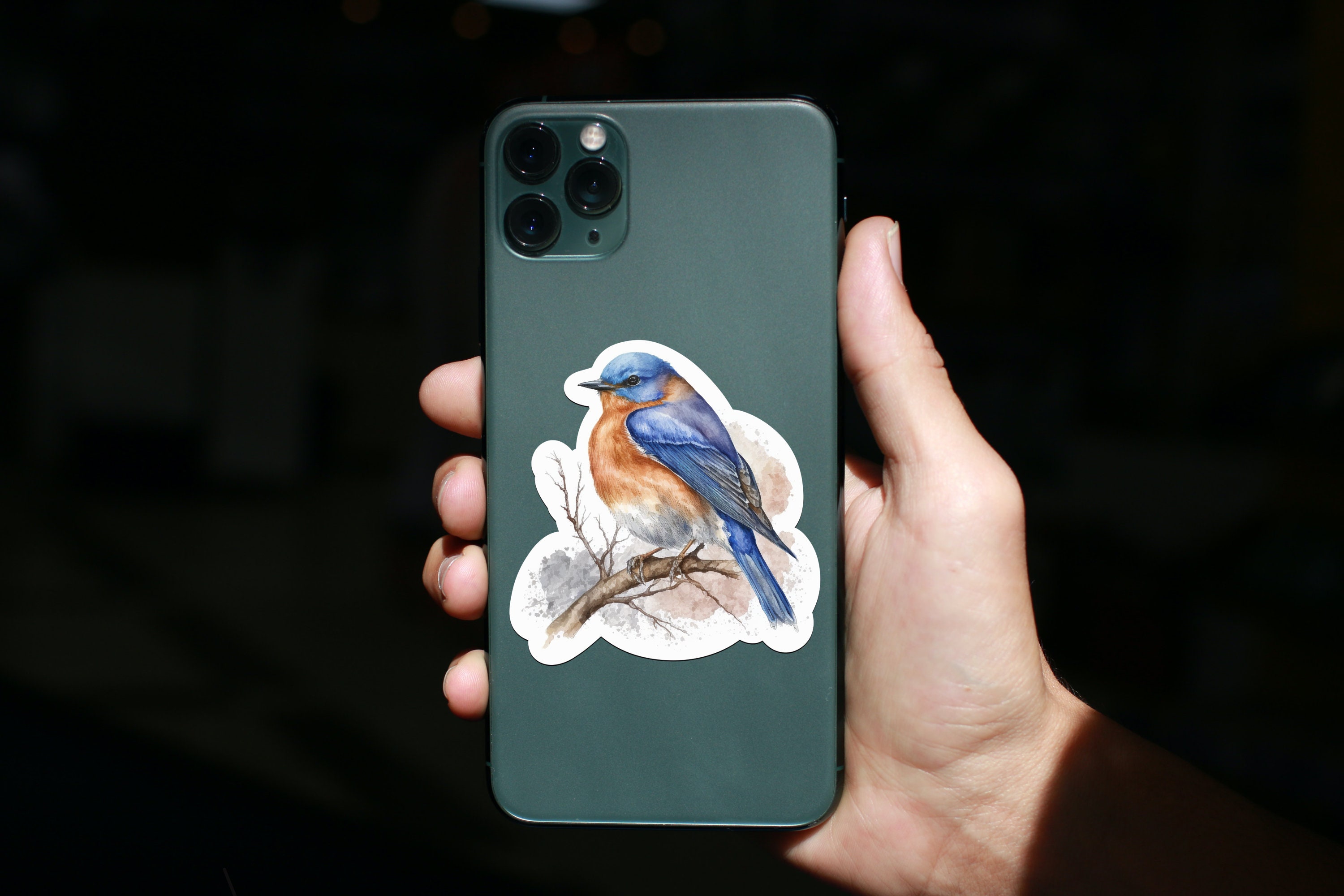 Watercolor Eastern Bluebird Sticker Cute Bird Stickers - Etsy