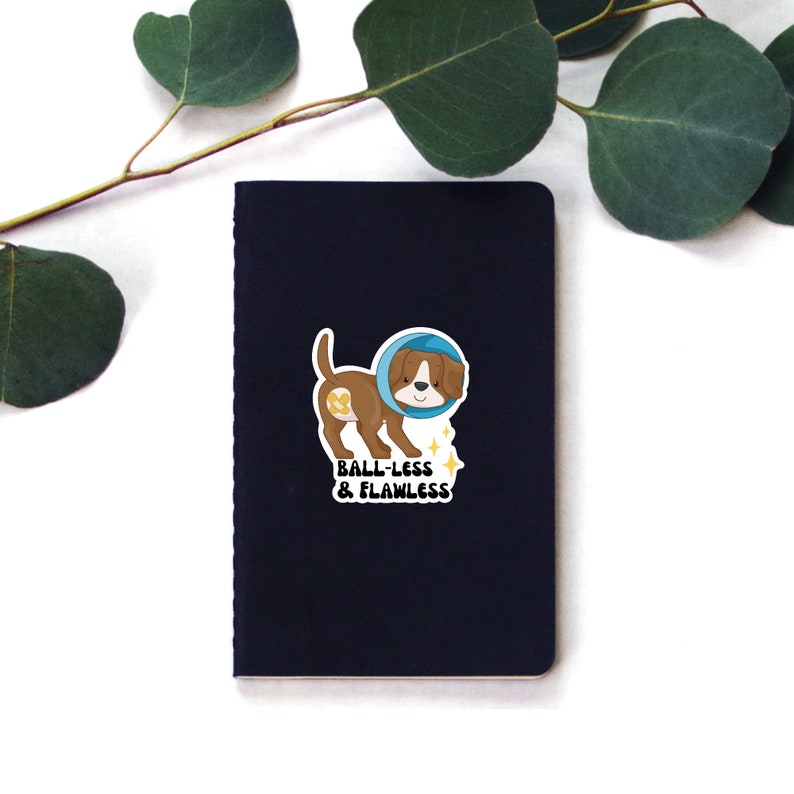 Vet Tech Sticker Bundle, Vet Tech Gift, Funny Veterinary Sticker, Vet ...