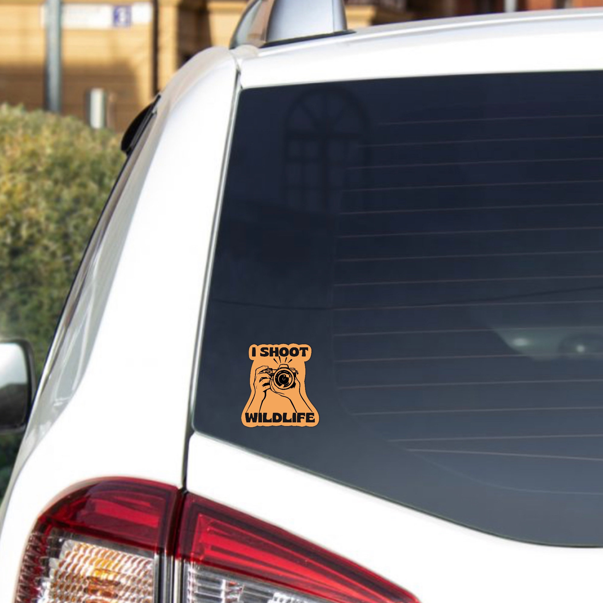 Photography Stickers Bundle, Retro Sticker Decals, Gift for ...