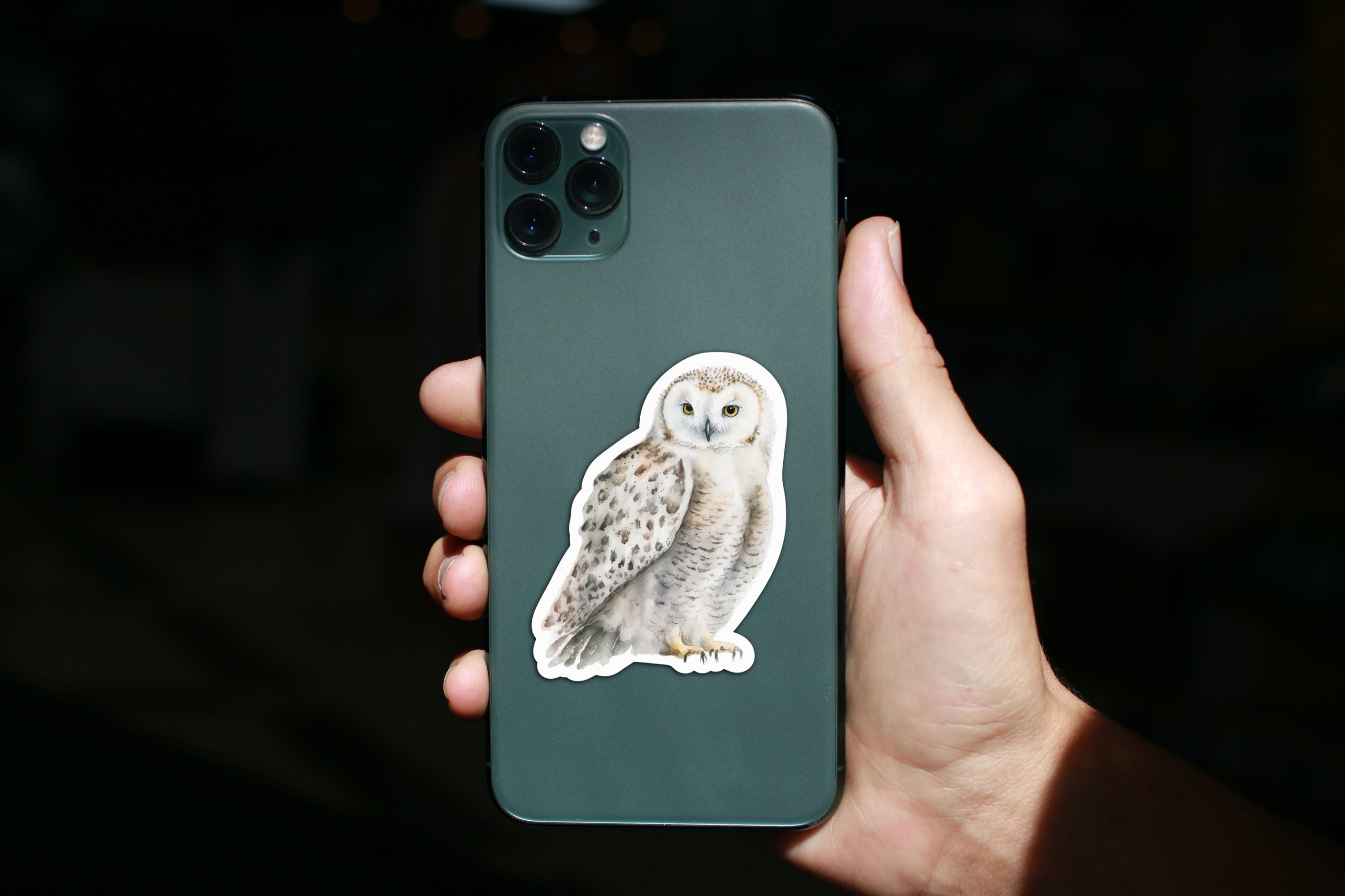 Owls Sticker Bundle, Watercolor Woodland Owls Pack, Cute Burrowing Owl ...