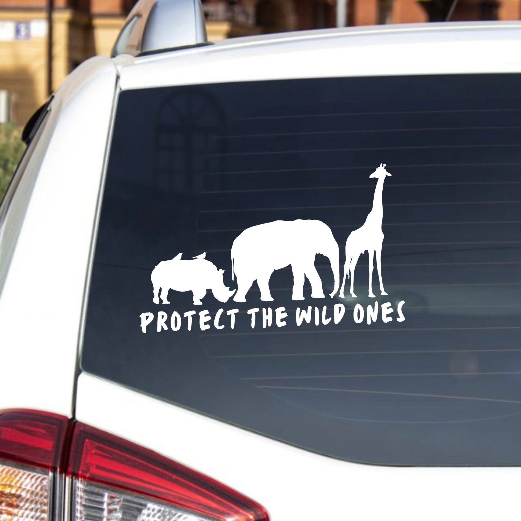 Protect Wildlife Awareness Decal, Adventure Decal, Cute Wild Animal ...