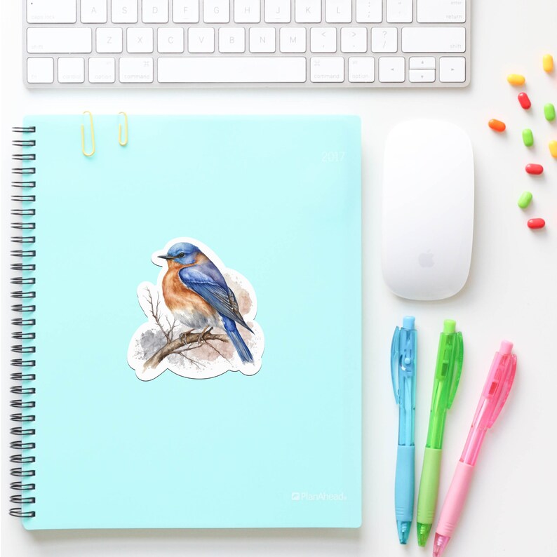 Watercolor Eastern Bluebird Sticker Cute Bird Stickers - Etsy