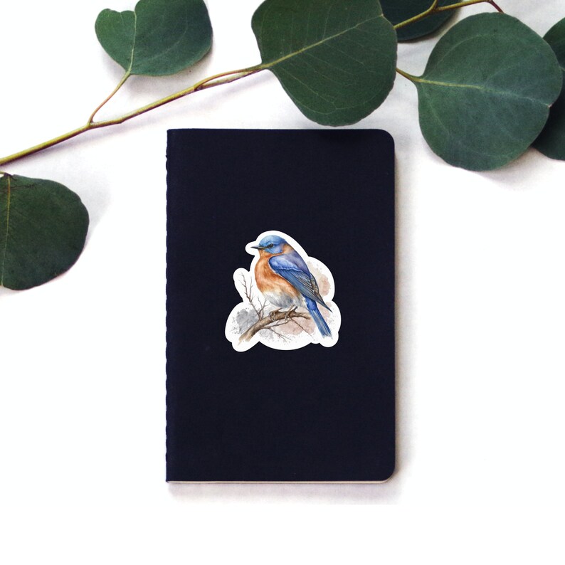 Watercolor Eastern Bluebird Sticker Cute Bird Stickers - Etsy
