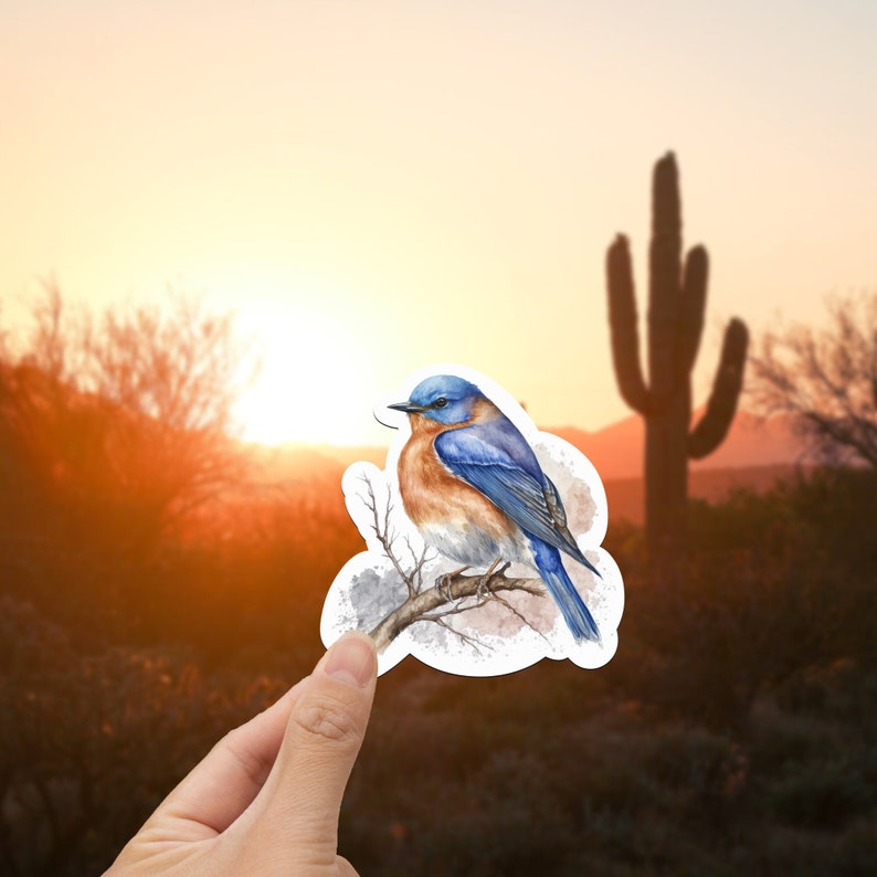 Watercolor Eastern Bluebird Sticker Cute Bird Stickers - Etsy