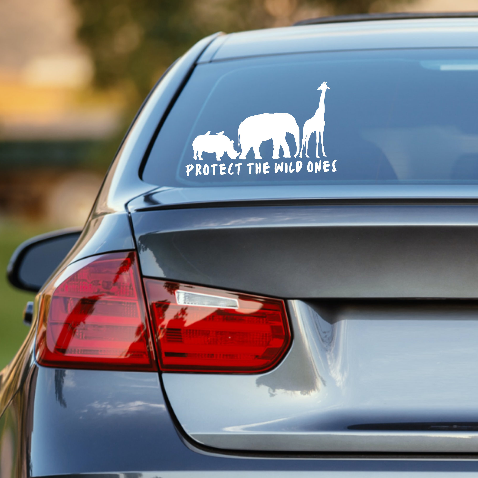 Protect Wildlife Awareness Decal, Adventure Decal, Cute Wild Animal ...