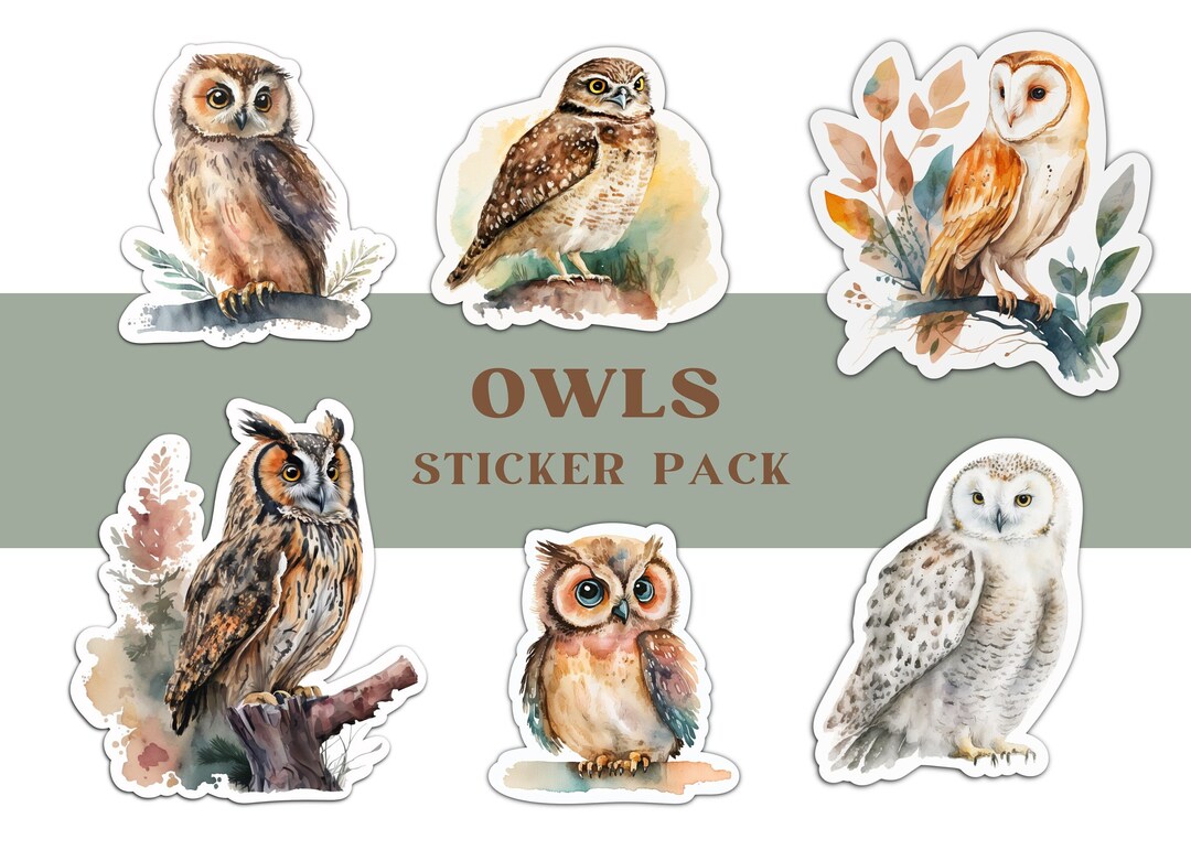 Owls Sticker Bundle, Watercolor Woodland Owls Pack, Cute Burrowing Owl ...