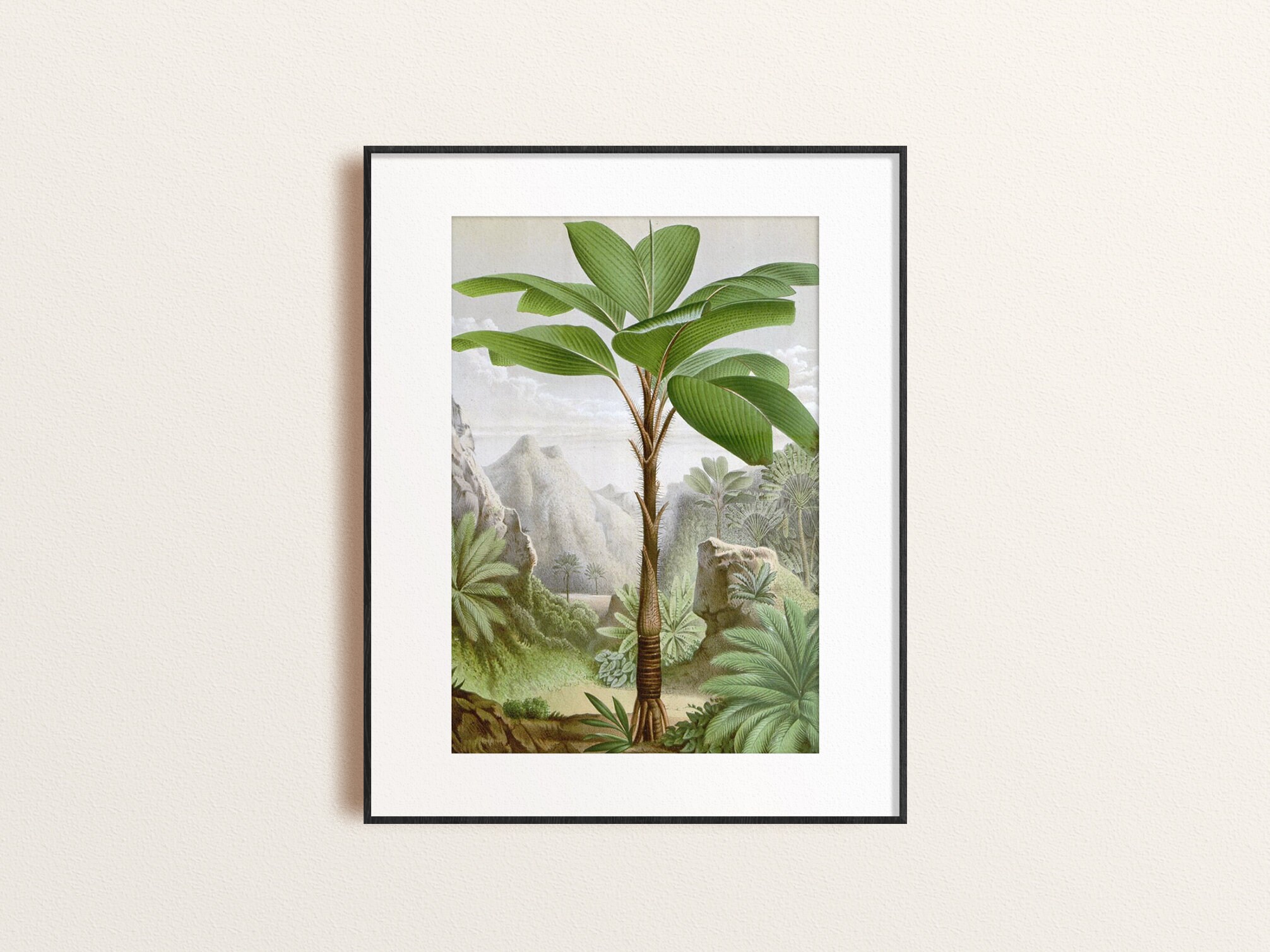 Victorian Botanical Palm Tree Print – Antique Jungle Wall Art, Tropical ...