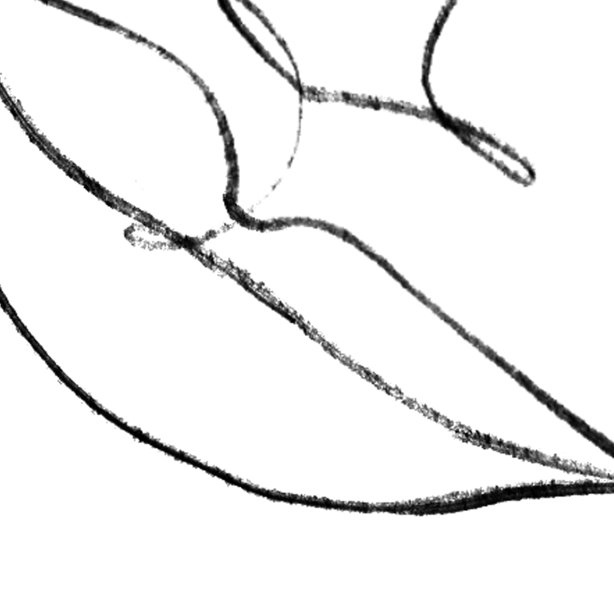 Continuous Line Drawing - "allie" - Digital Download - 4 Sizes ...