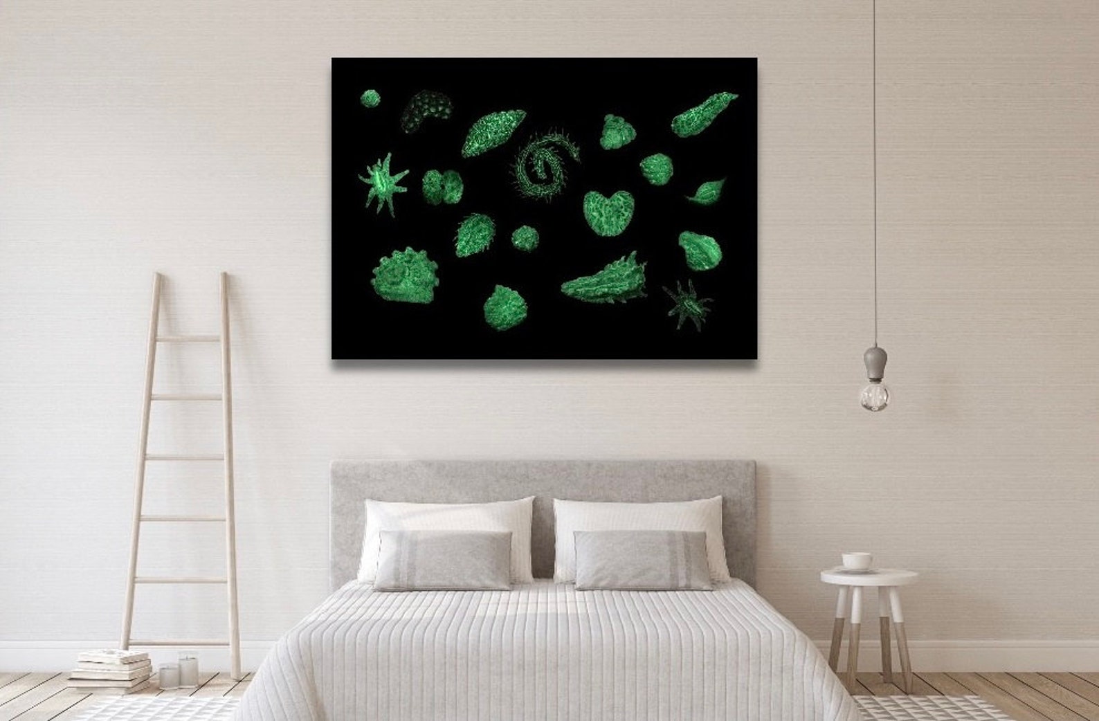 Printable Art (seeds Under Microscope) - Etsy