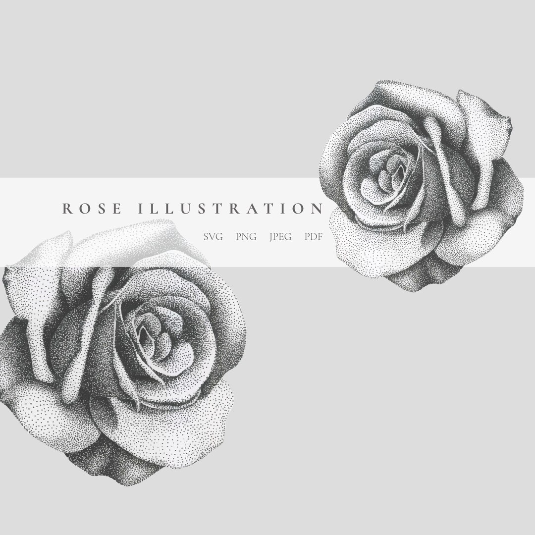 Vectorised Hand-drawn Rose Illustration, Floral Drawing, Aesthetic Art ...