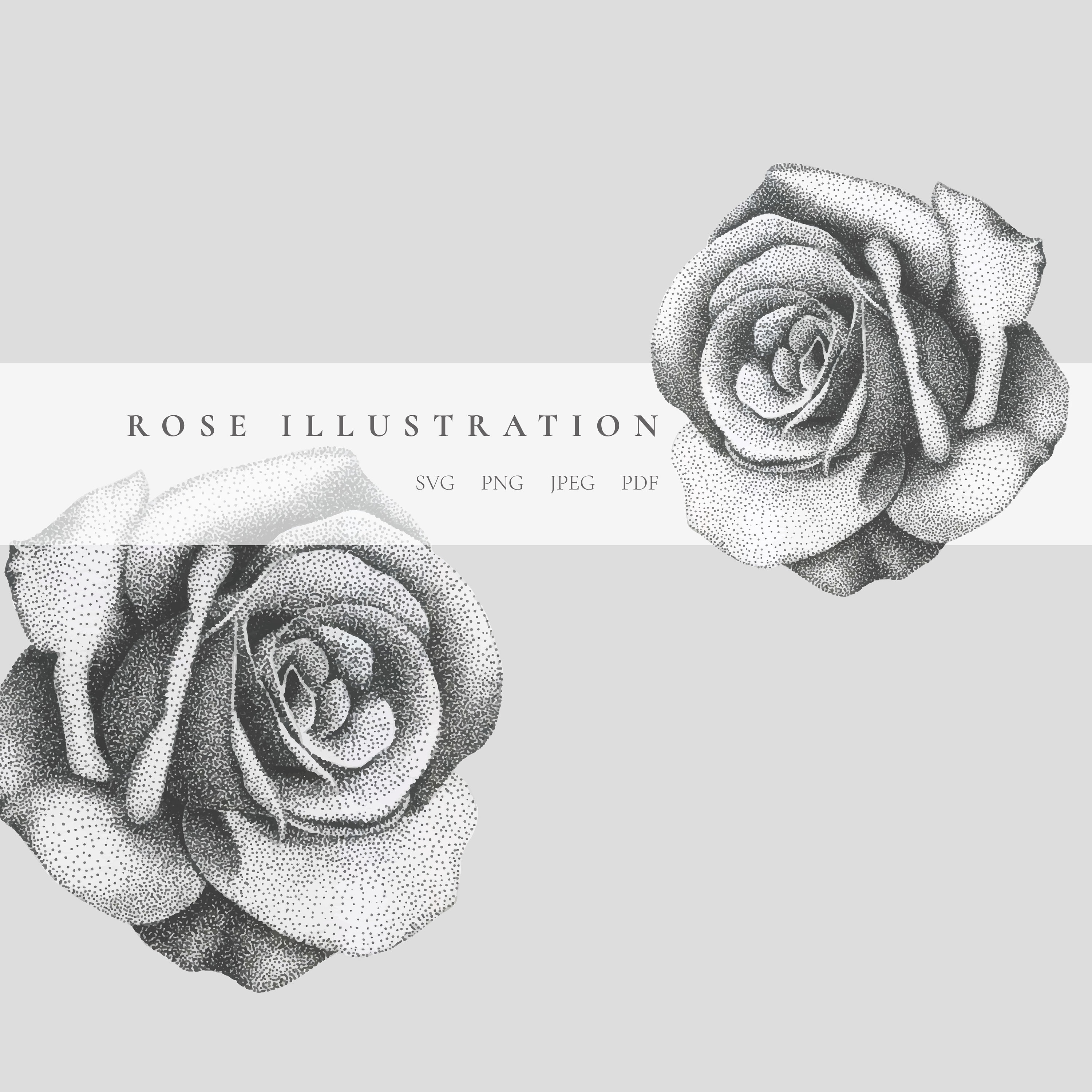 Vectorised Hand-drawn Rose Illustration, Floral Drawing, Aesthetic Art ...