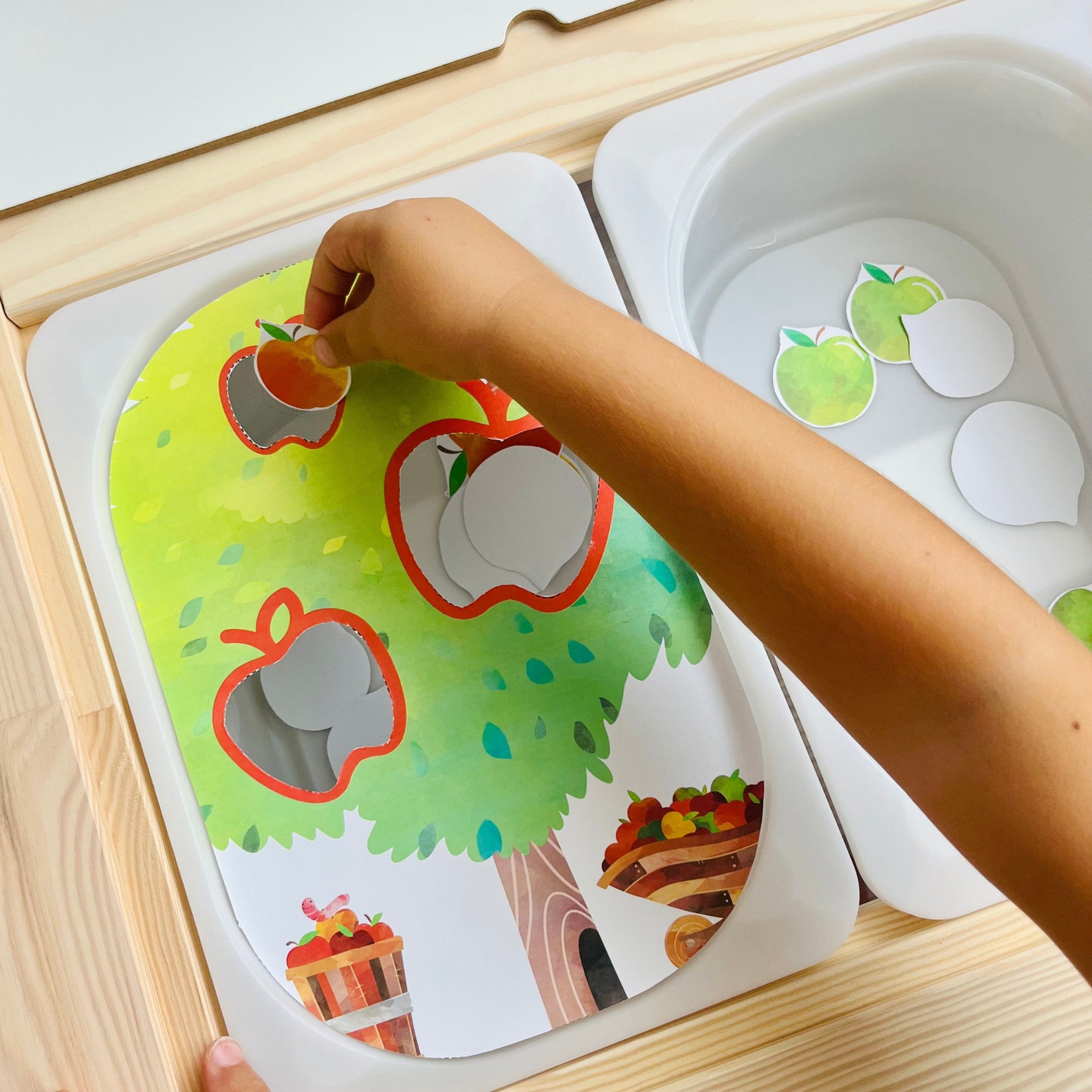 Apple Size Sorting Flisat Insert, Preschool Printable (digital Download ...