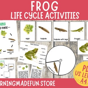 Frog Life Cycle Bundle, Frog Kids Activity, Learning About Frogs, Frog ...