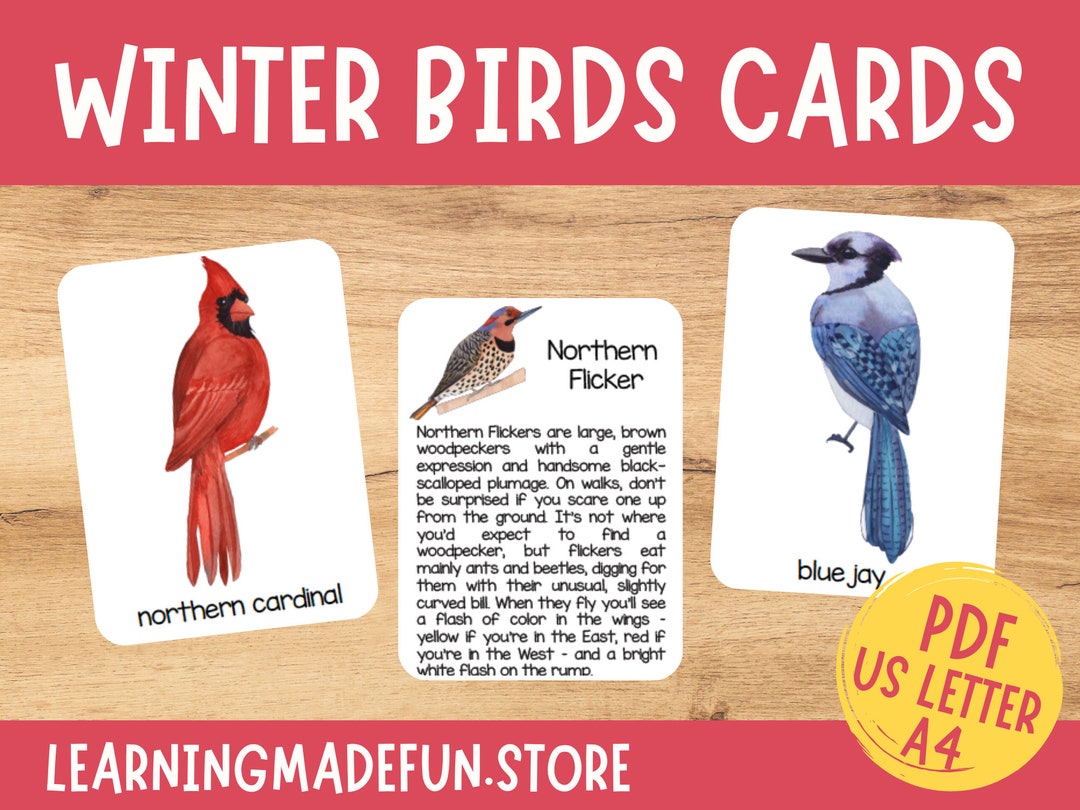 Winter Birds Identification Cards, Birds Three Part Cards, Montessori ...