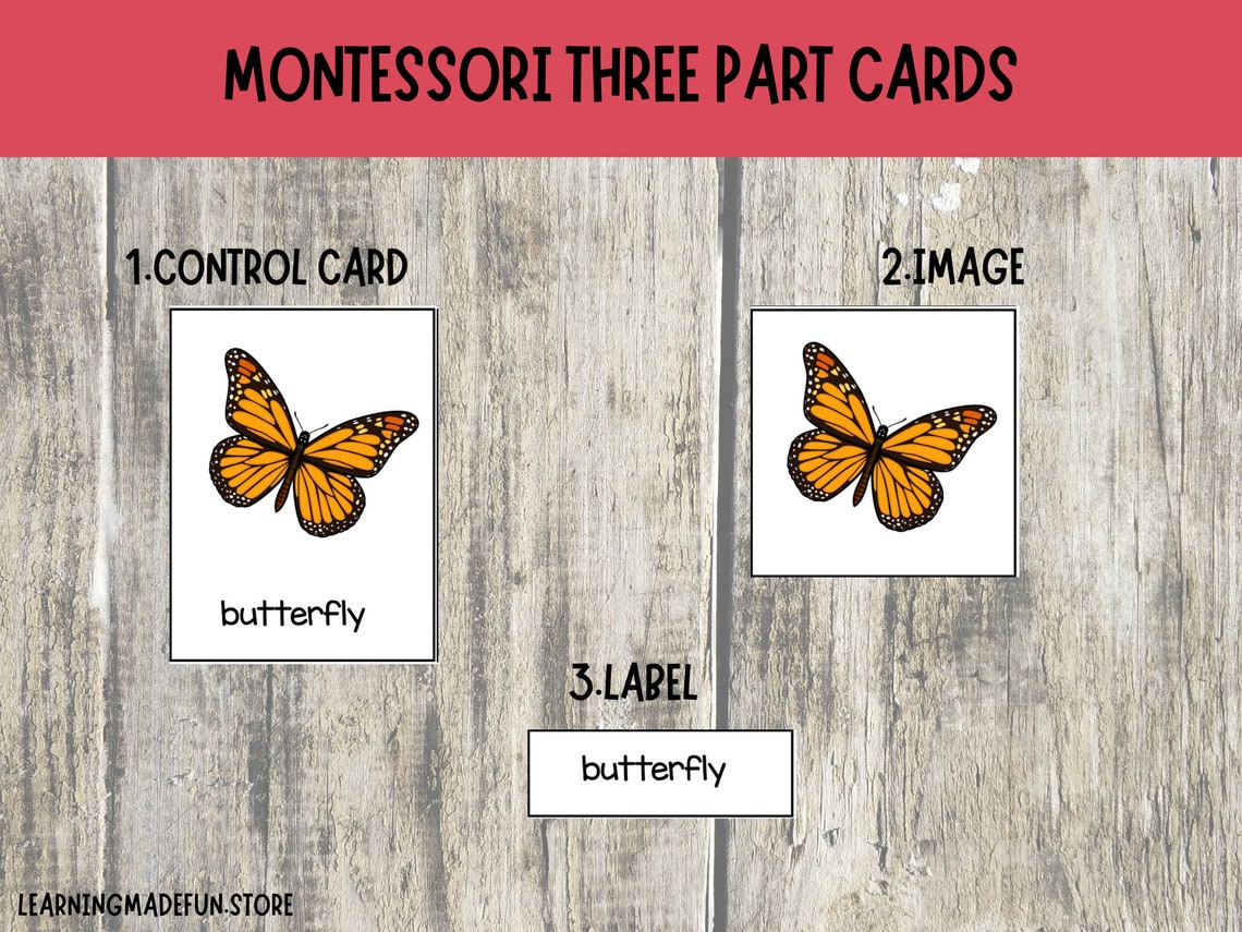 Butterfly Life Cycle Montessori Cards: Three Part Flashcards (PDF) - Etsy