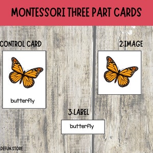 Butterfly Life Cycle Montessori Cards, Butterfly Flashcards, Three Part ...