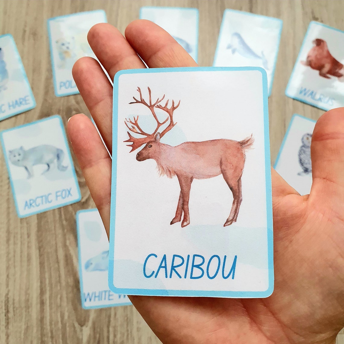 Arctic Animals Flashcards Montessori Cards Polar Animals - Etsy