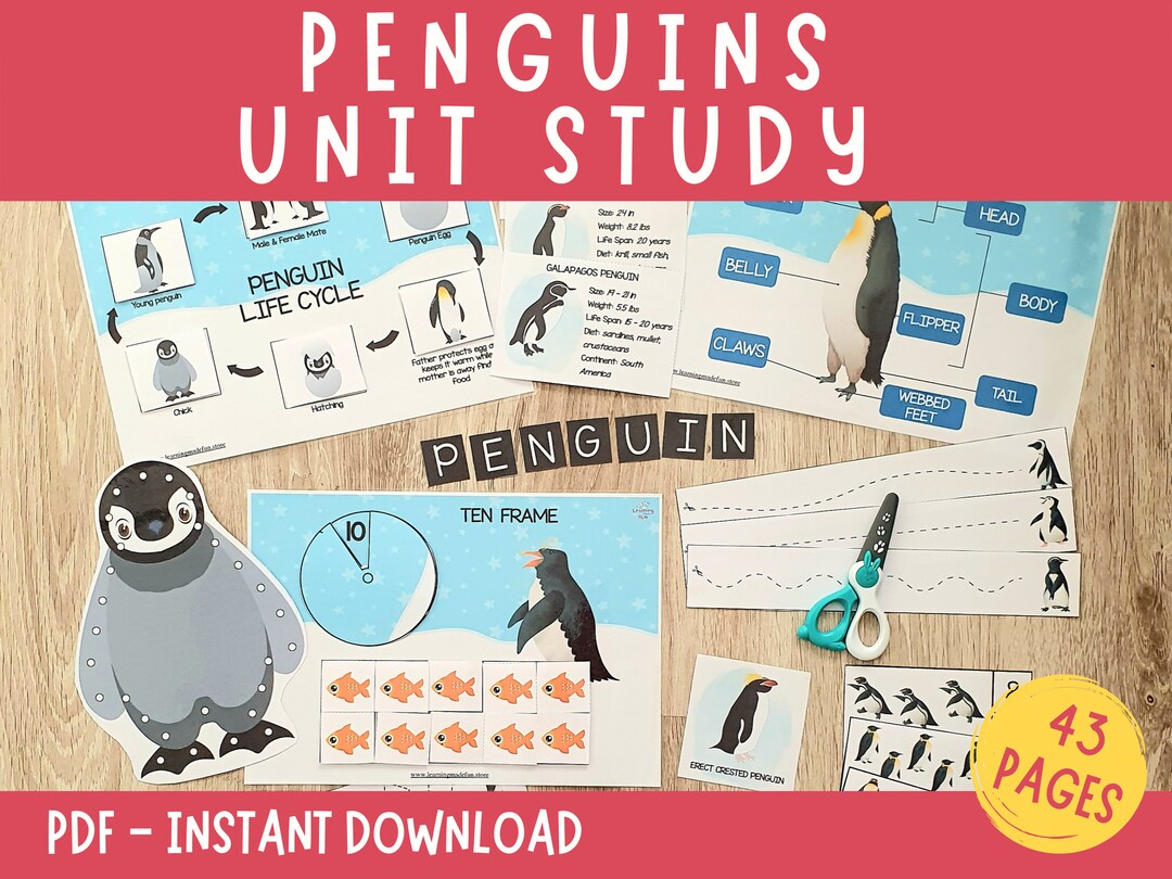 Penguin Unit Study: Life Cycle & Activities (digital Download) - Etsy