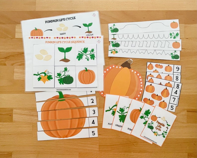 Pumpkin Life Cycle Unit Study: Preschool Learning Activities (PDF) - Etsy