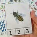 Montessori Spring Count Clip Cards: Numbers 1-10 (printable) - Etsy