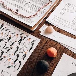 Penguins Unit Study, Penguin Themed Printable, Polar Animals Activity ...