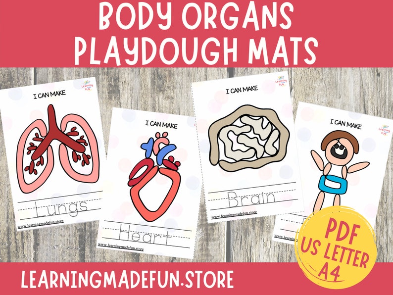 Body Organs Play Dough Mats: Anatomy Preschool Activity (digital ...