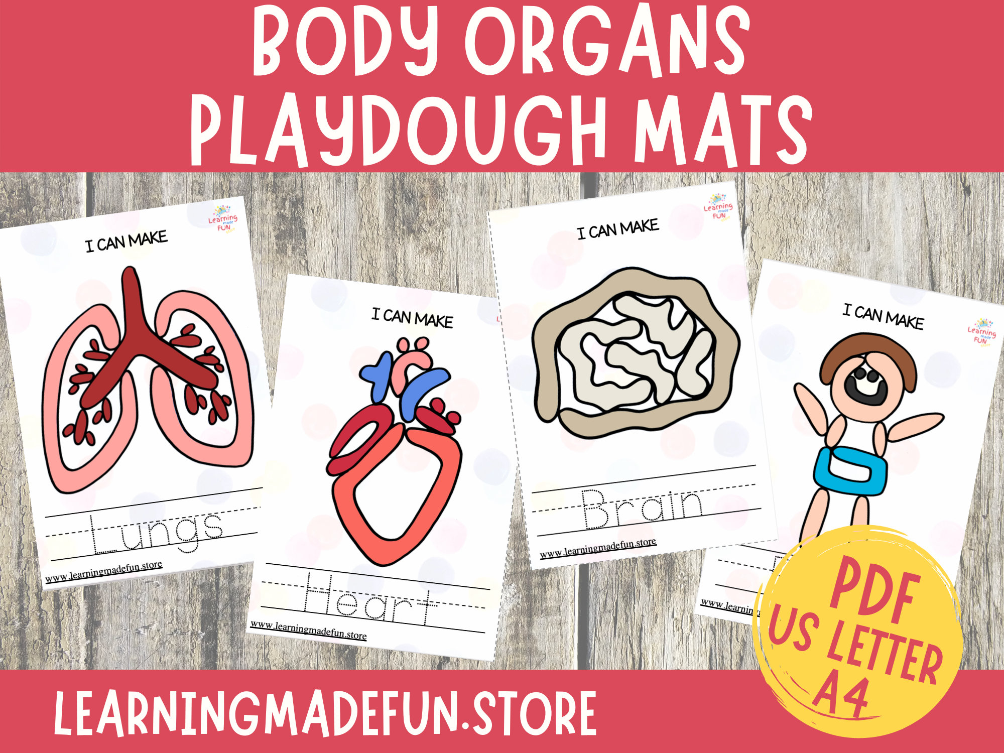 Body Organs Play Dough Mats Anatomy Play Doh Activity - Etsy Canada