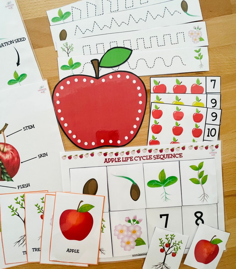 Apple Unit Study: Life Cycle & Anatomy Printable Activities (PDF) - Etsy