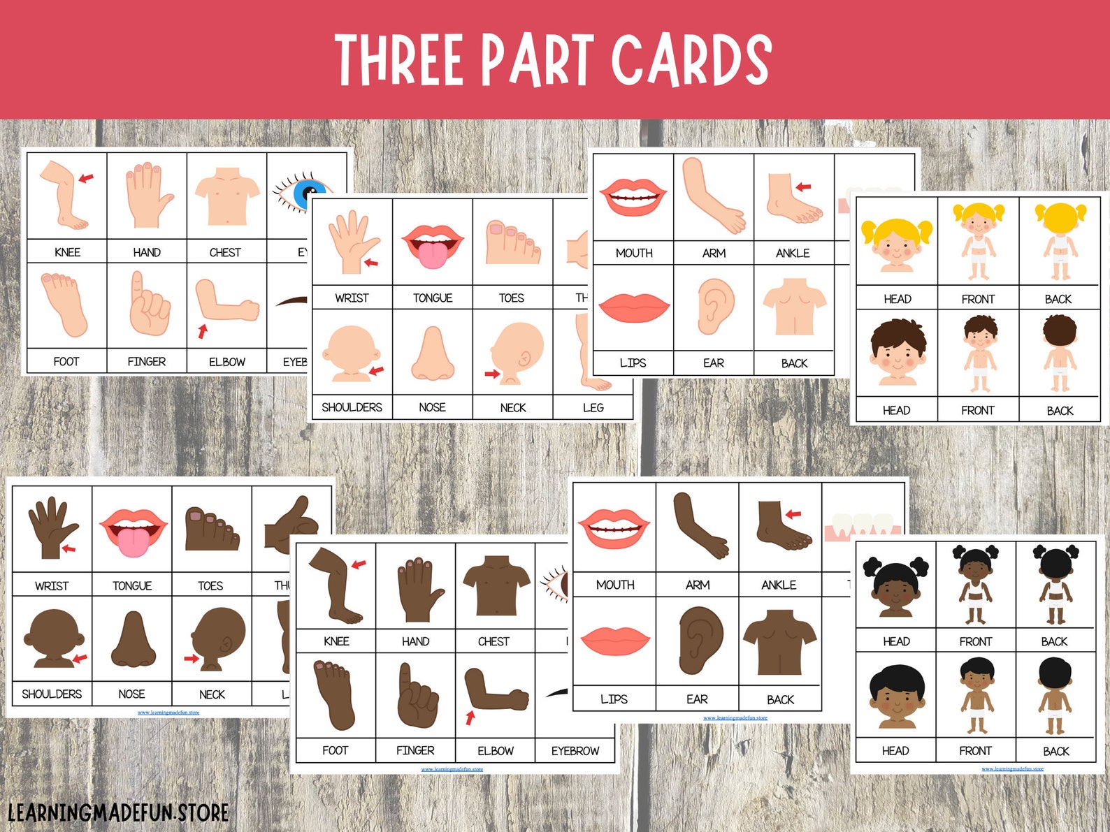 Body Parts Flashcards, Preschool Flash Cards, 3-part Cards, Human Body ...