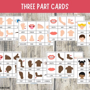 Body Parts Flashcards, Preschool Flash Cards, 3-part Cards, Human Body ...