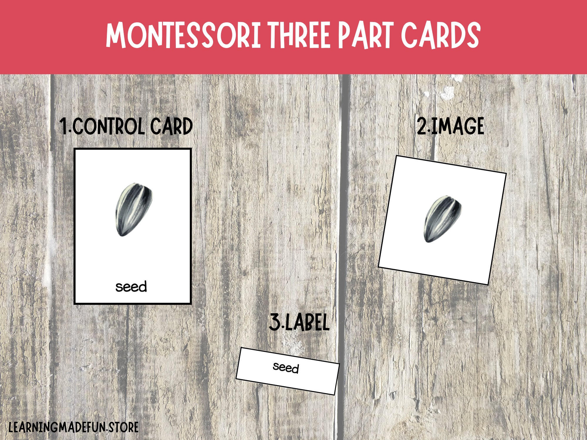 Sunflower Life Cycle Montessori Cards: Three Part Flashcards (PDF) - Etsy