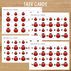 Ladybug Count and Sort by Size, Printable Flisat Insert, Trofast Insert ...