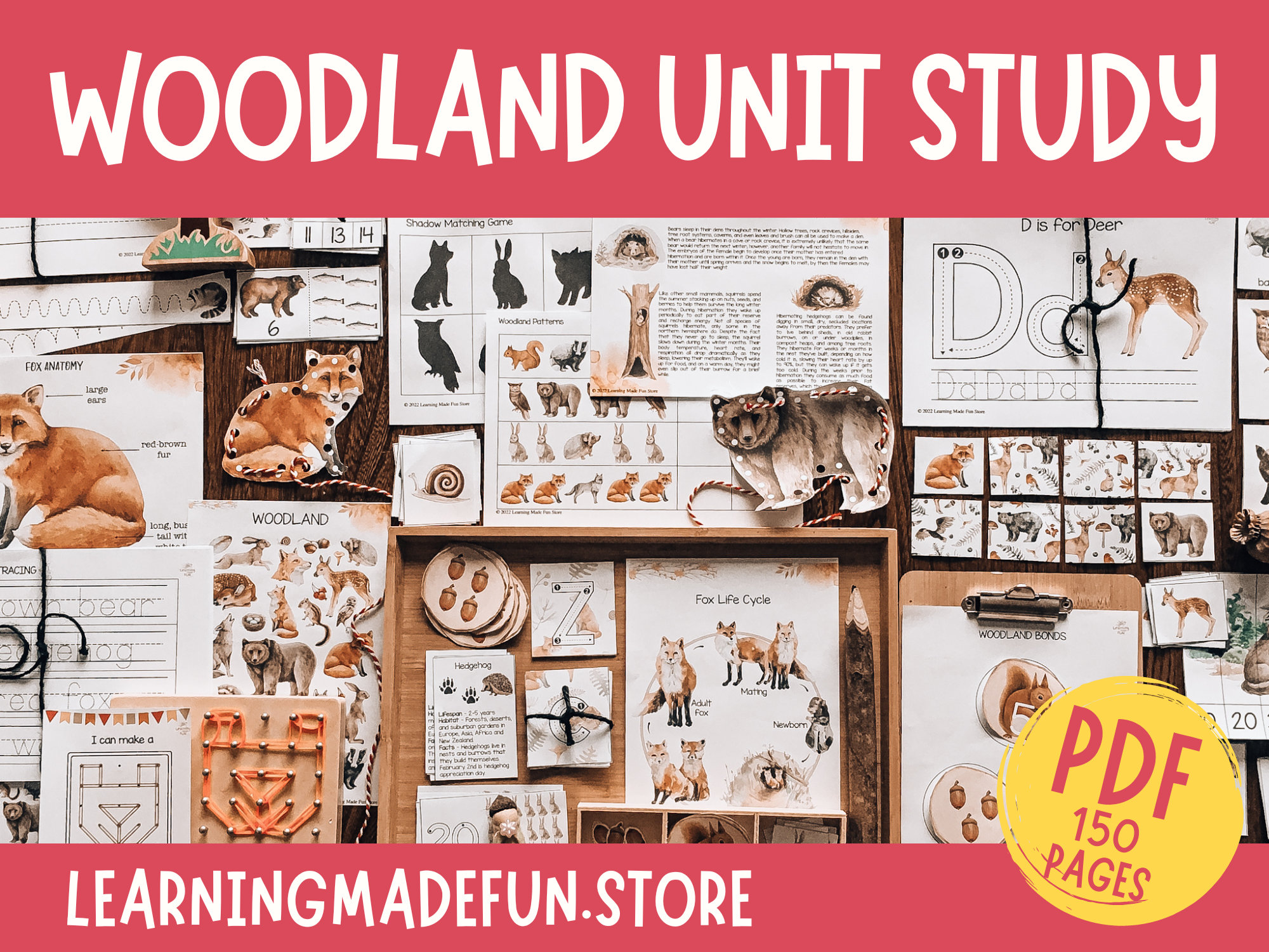 Woodland Unit Study, Forest Animals Printable (PDF) - Etsy