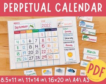 Body Parts Flashcards Preschool Flash Cards 3-part Cards - Etsy