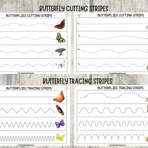 Butterfly Unit Study, Learning Bundle, Butterfly Life Cycle Activity ...