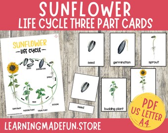 Sunflower Three Parts Card - Etsy