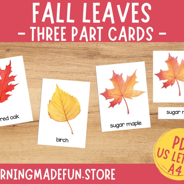 Autumn Leaves Cards - Etsy