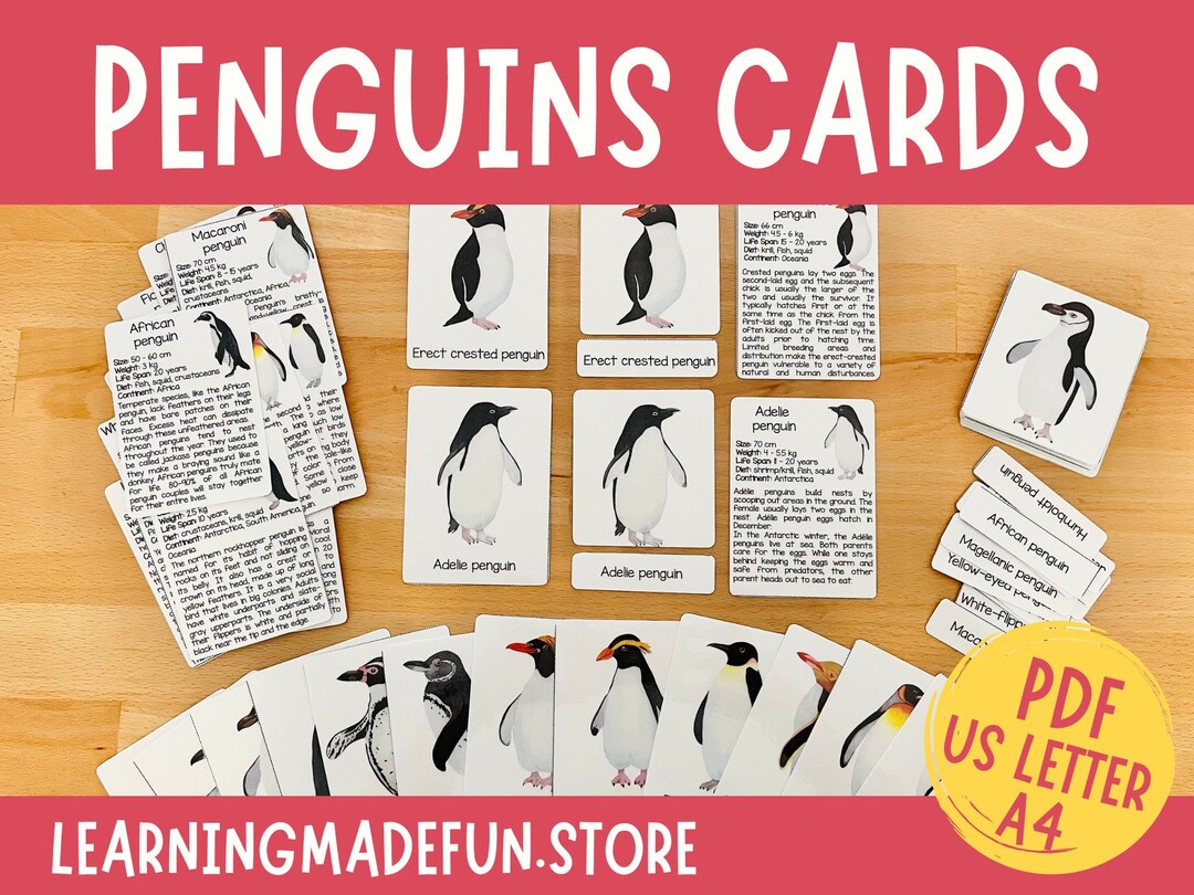 Penguins Identification Cards, Penguins Three Part Cards, Montessori ...